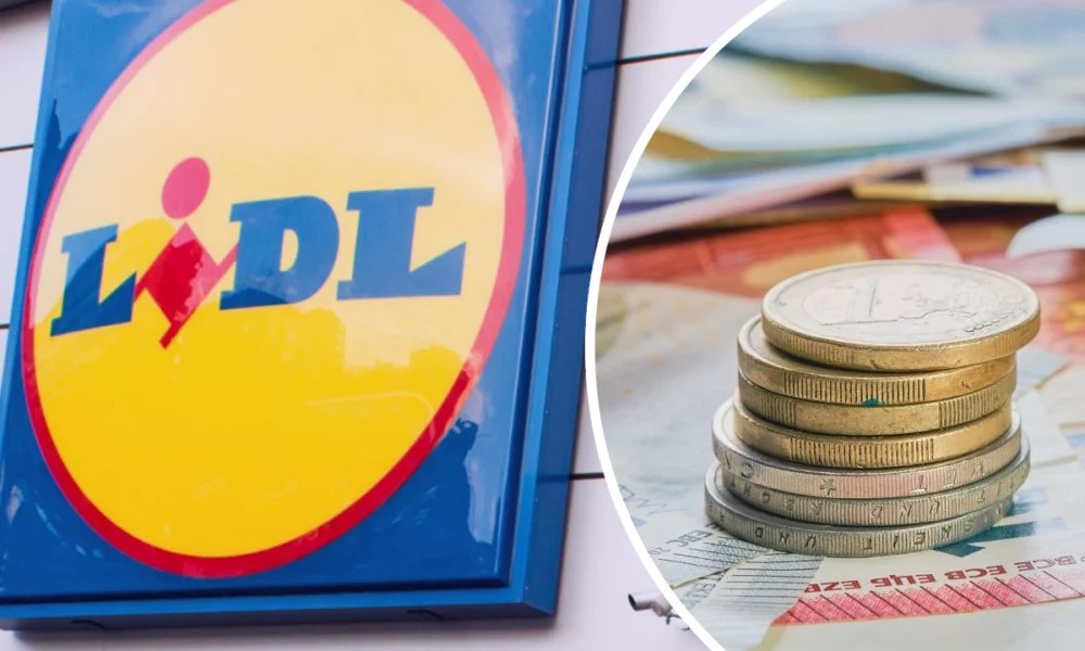 Lidl România, un titan al profitului: 214 milioane euro într-un an ...